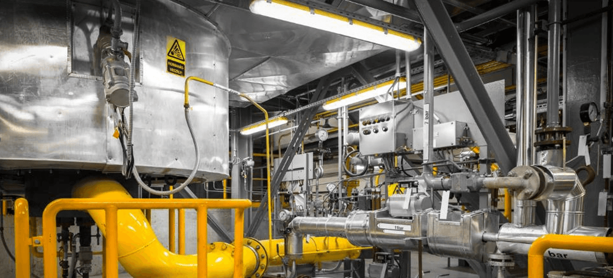 Ex-protected lamp: meaning, definition & purpose